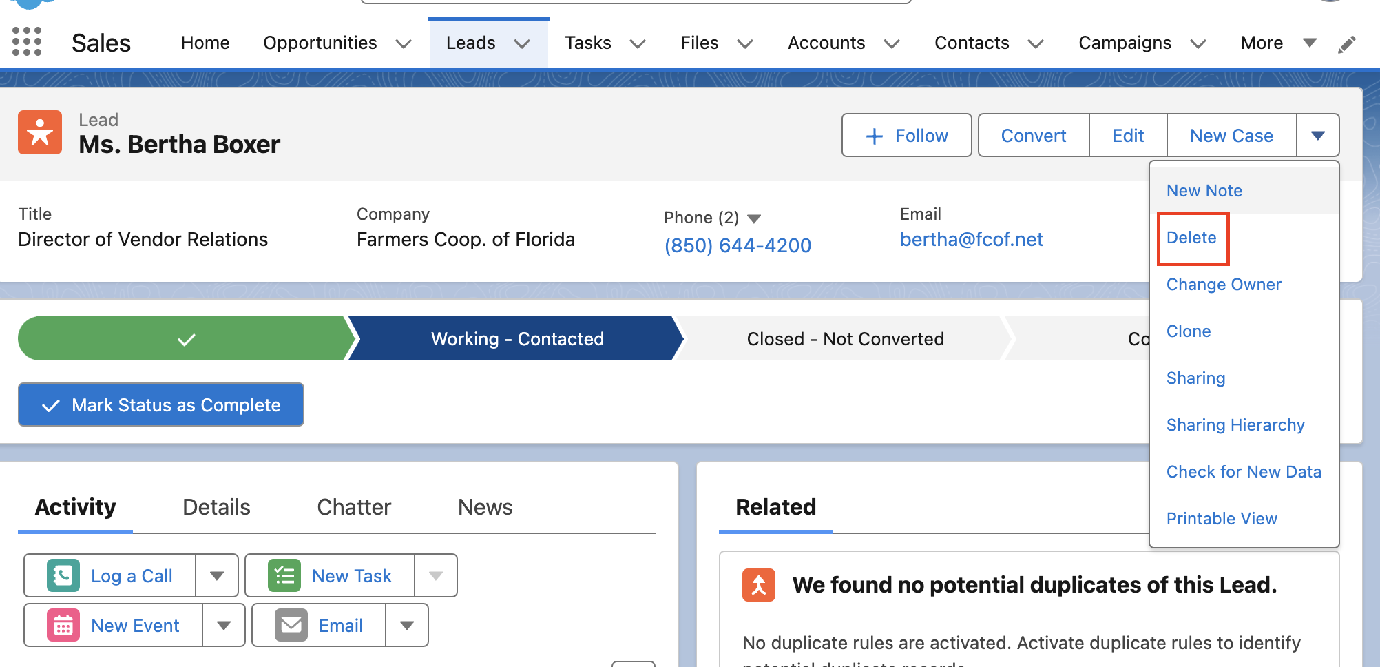 Salesforce Leads Delete Button - The Marks Group | Small Business Consulting | CRM Consultancy